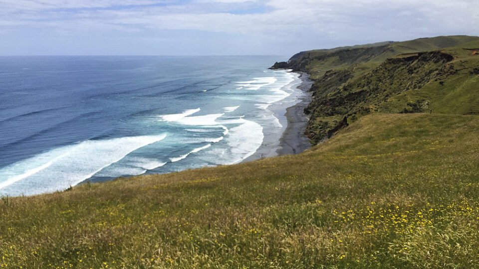 The Chatter: Meet Our Farmers Q&A with Te Akau farmer Bronwyn Main ...